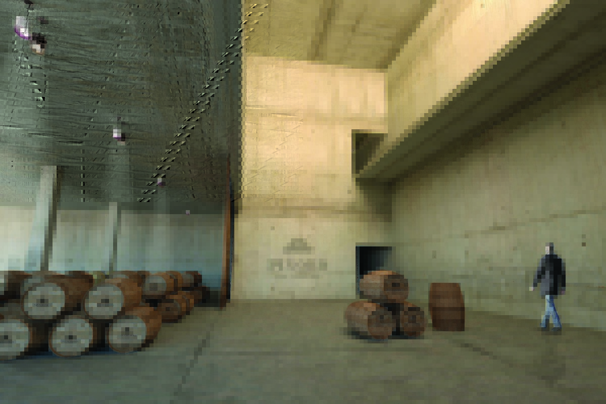 Nueva bodega Pinord - Criteria BCN